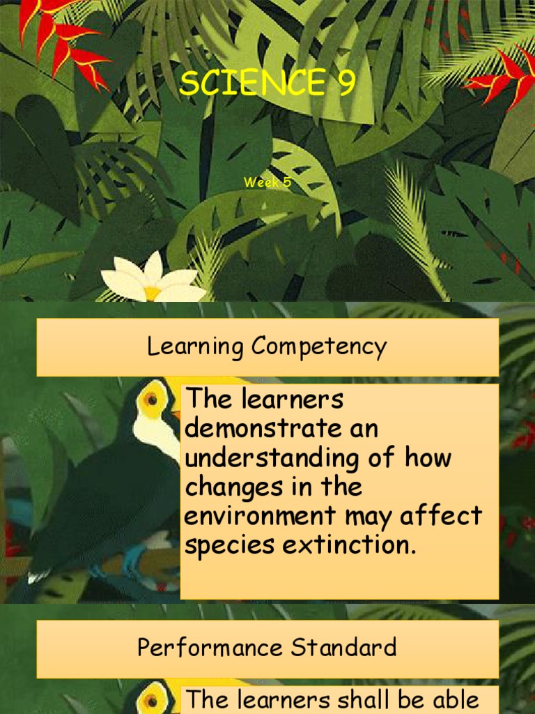 Biodiversity And Evolution Pdf Biodiversity Natural Environment
