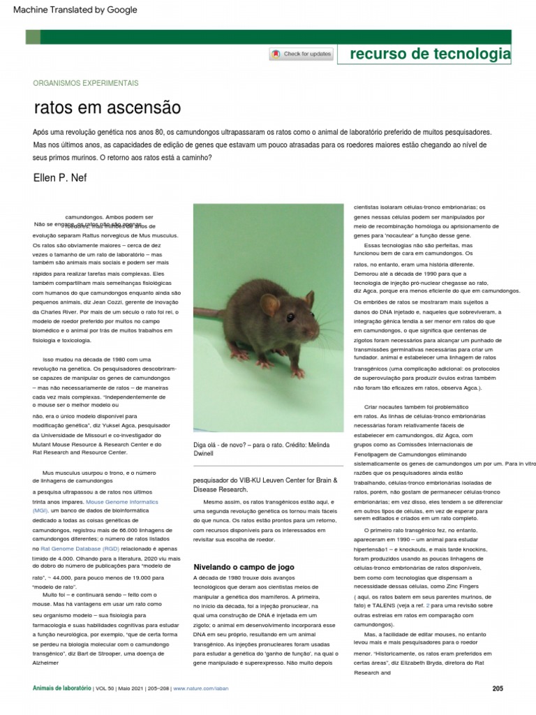 Rats On The Rise | PDF | Rato | CRISPR