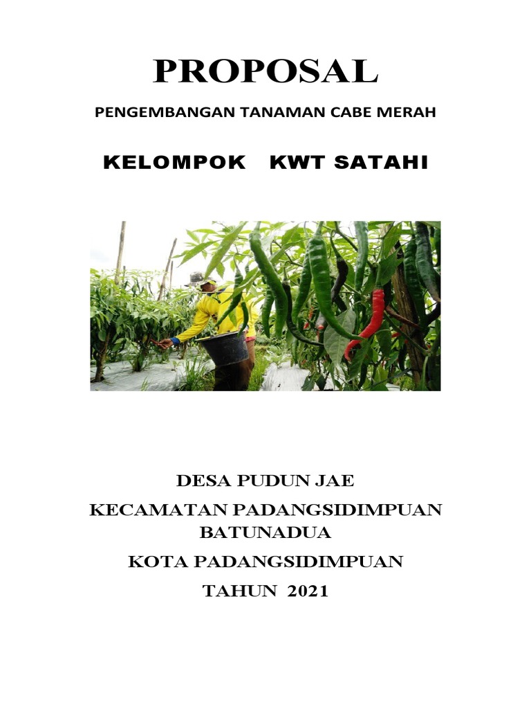 Proposal Cabai Merah | PDF