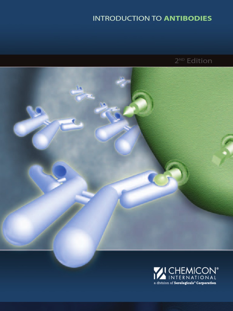 INTRODUCTION TO ANTIBODIES - Chemicon | PDF | Polyacrylamide Gel Electrophoresis | Gel ...