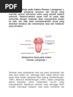 Anatomi Indra Perasa dan Fungsinya | PDF