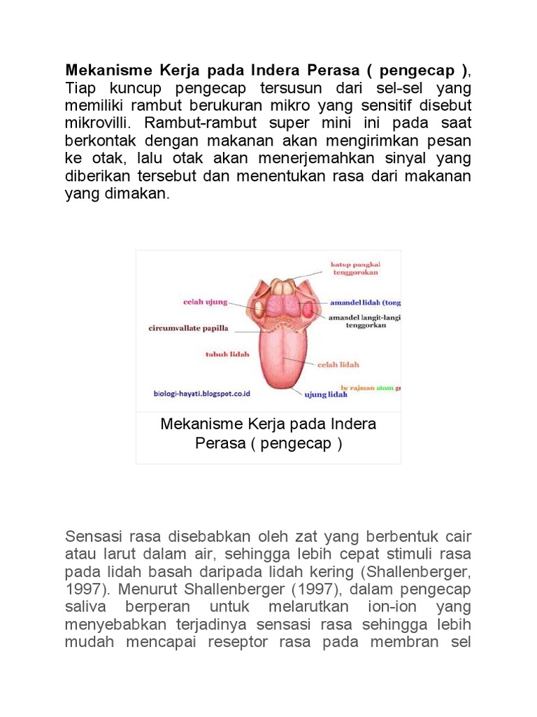 Mekanisme Pengecapan | PDF
