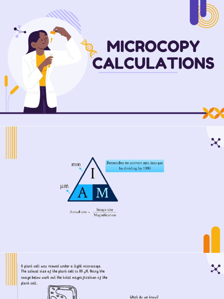 Bio Microcopy Calculations | PDF