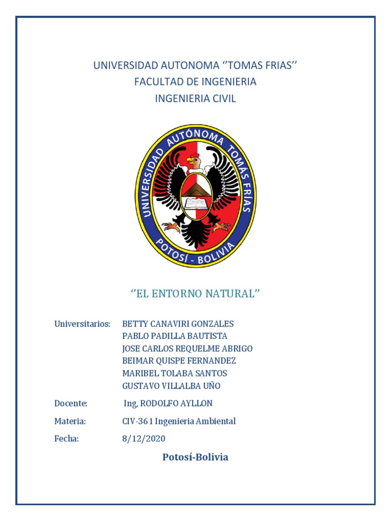 Entorno Natural y Vida en la Tierra | PDF | Roca (geología) | Tierra