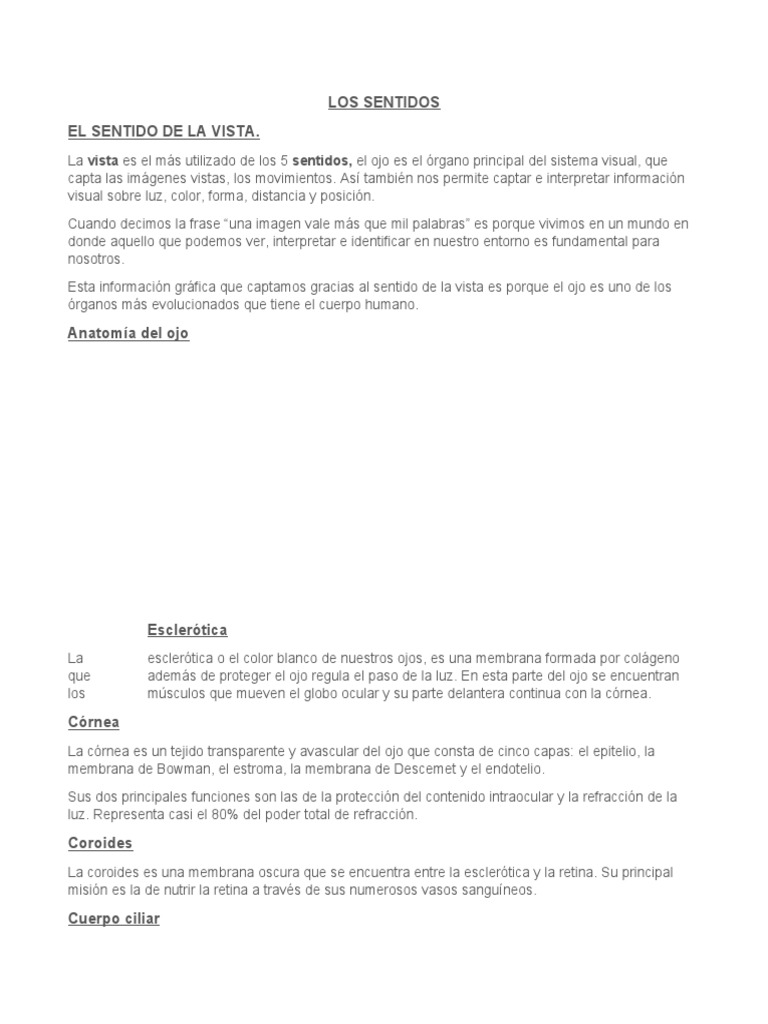 Sentido de La Vista | PDF | Ojo humano | Percepción visual