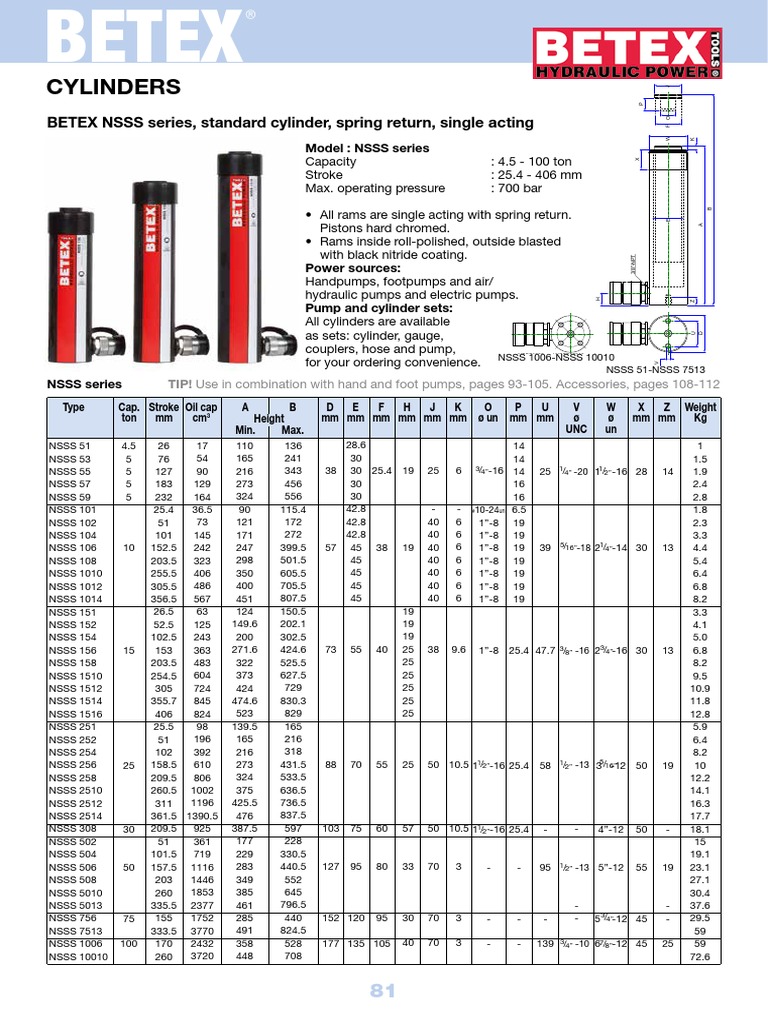 Bega Betex - Cylinders NSSS NSLS NSCS NSHS en | PDF | Piston | Pump