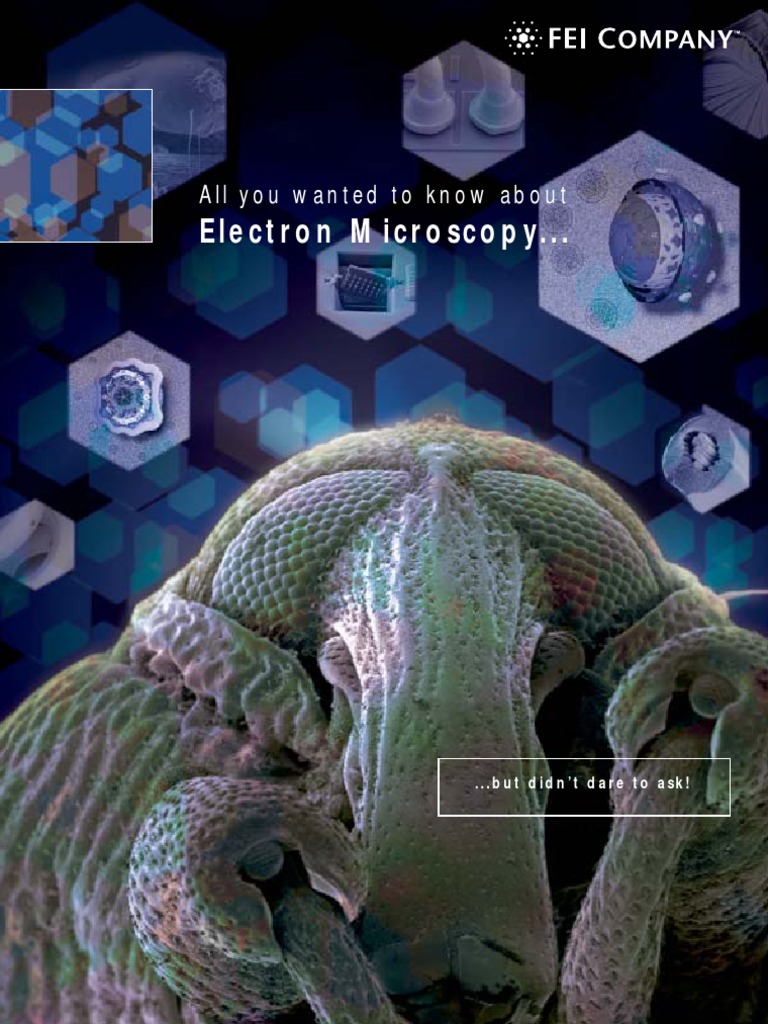 All You Wanted To Know About Electron Microscopy - FEI | PDF | Scanning ...