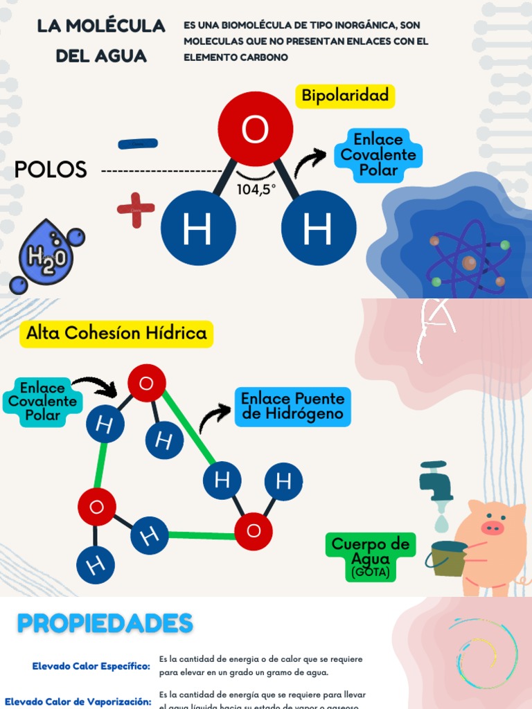 Composicion Quimica Del Agua | Descargar gratis PDF | Agua | Calor