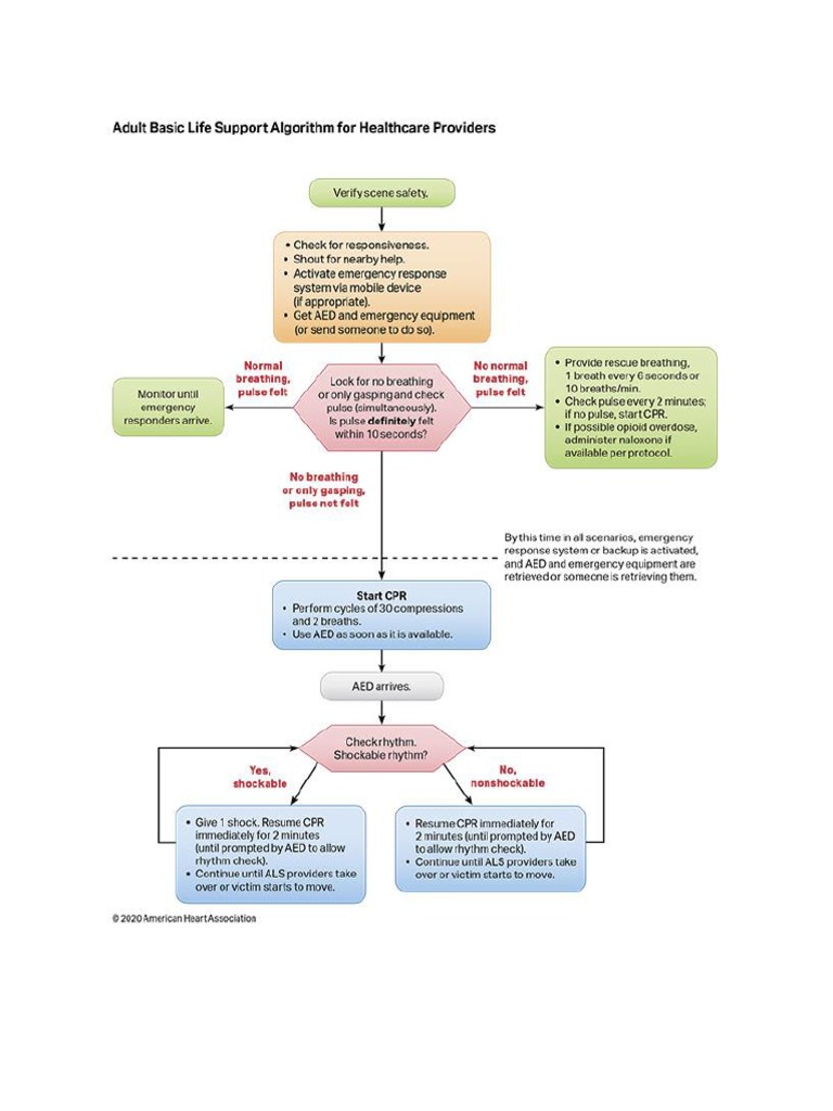 AHA 2020 Guidelines | PDF