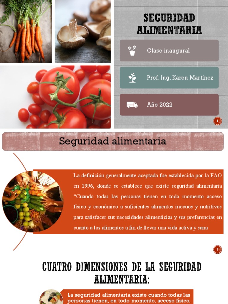 Seguridad Alimentaria | PDF | Seguridad alimentaria | Alimentos