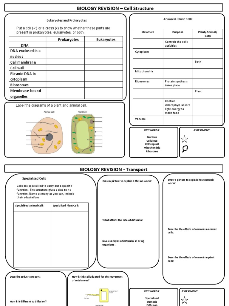 Biology Revision Sheets | PDF | Cell (Biology) | Genetics
