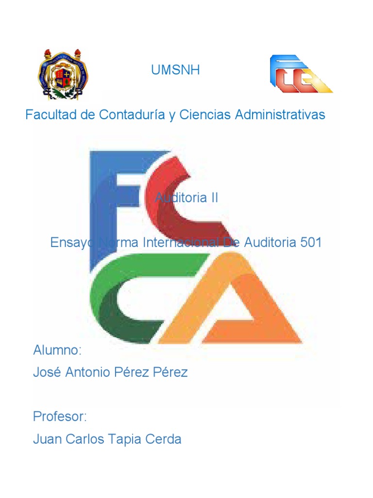 Ensayo Nia 501 | PDF | Auditoría | Contralor