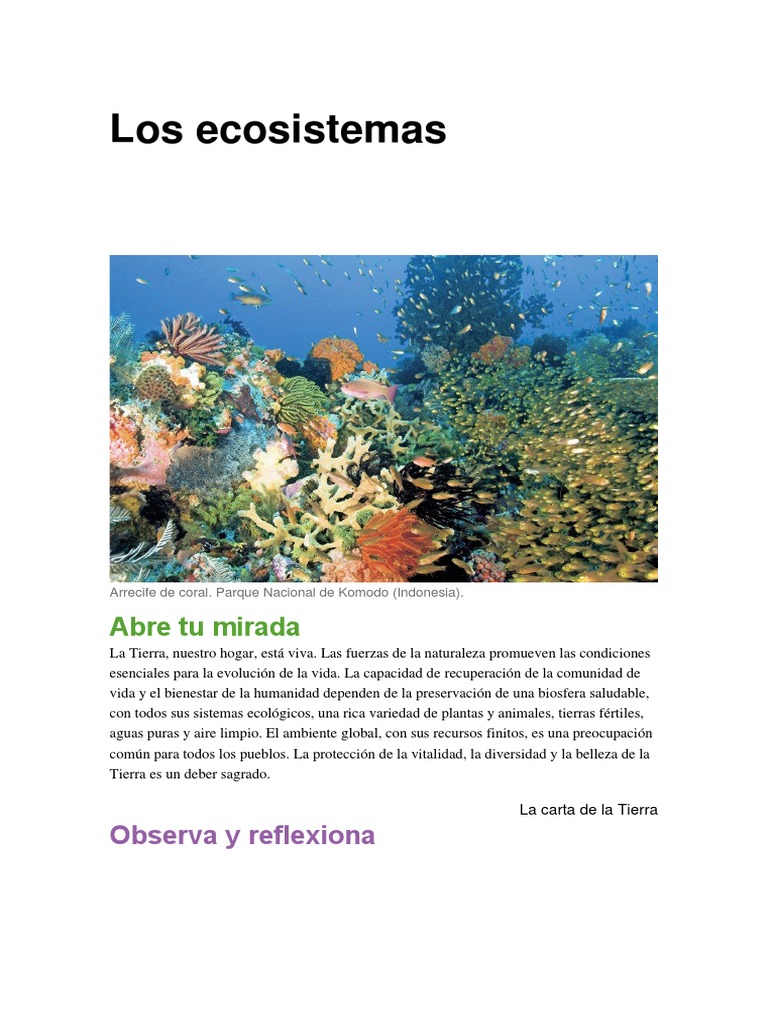 ByG 1ESO Los Ecosistemas | PDF | Suelo | Agua