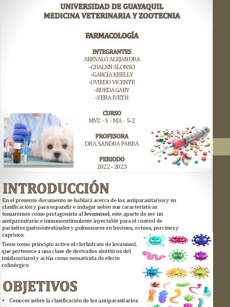 Levamisol: Antiparasitario Veterinario | PDF | Nematodo | Parasitismo