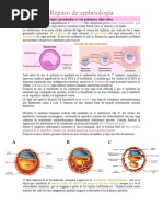 Desarrollo Del Saco Coriónico | PDF | Ciencia y matemáticas