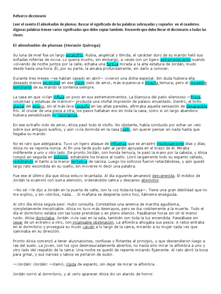 Refuerzo Diccionario El Almohadã N de Plumas | PDF