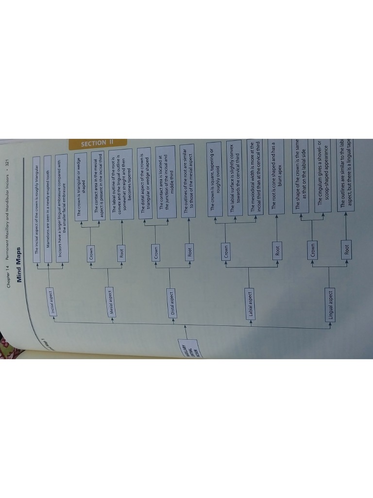 Image To PDF - 06092022 - 213858 | PDF