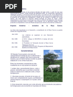 Pasto Buffel. Pennisetum Ciliare (L.) | PDF | Siembra | Aluminio