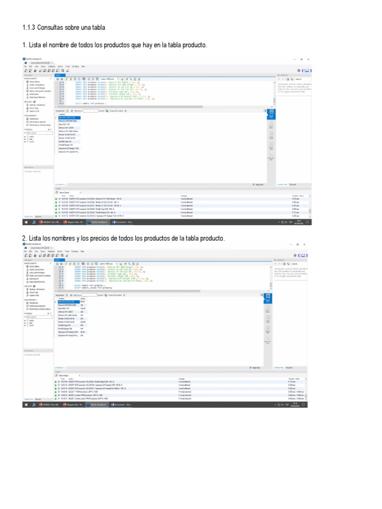 PRACTICA 1 (1) Consultas | PDF