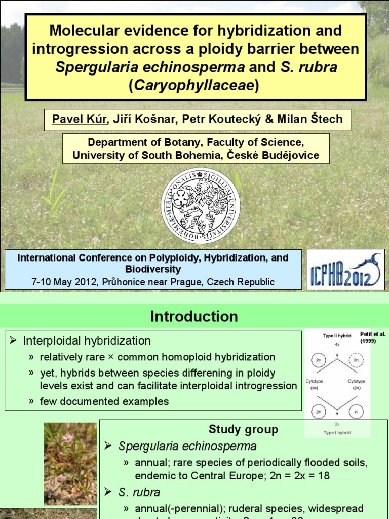 Hybridization Across Ploidy Barriers | PDF | Ploidy | Hybrid (Biology)