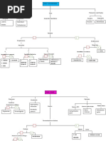 Tablas Antibiograma CLSI 2024 | PDF | Biocidas | Microbiología