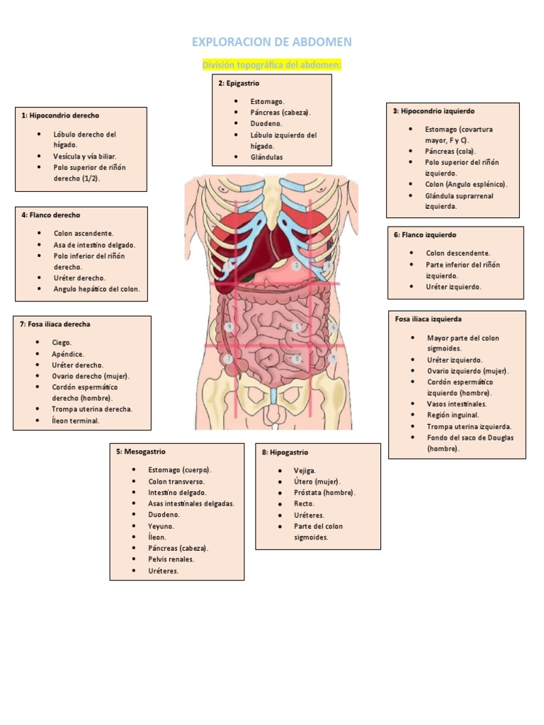 Guia Clinicas Rios | PDF | Abdomen | Intestino grueso
