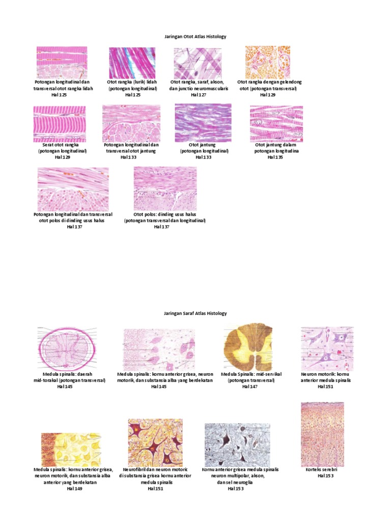Literatur Jar Otot Dan Saraf | PDF