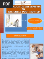 Posición Genupectoral | PDF