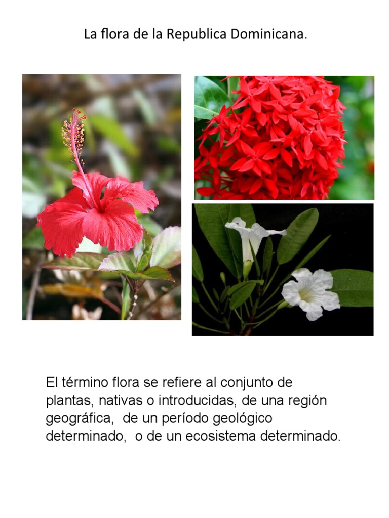 Flora Nativa y Endémica de RD | PDF