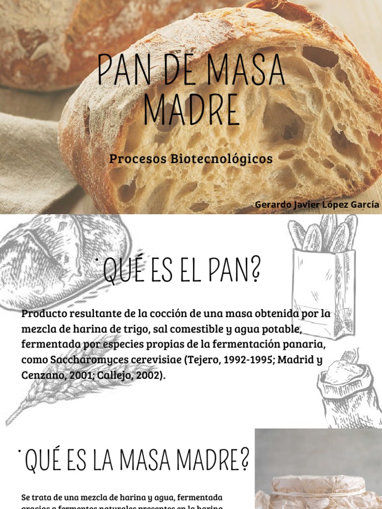 Beneficios del Pan de Masa Madre | PDF | De masa fermentada | Panes