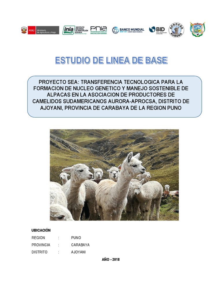 Linea de Base Ajoyani Febrero 2018 | PDF