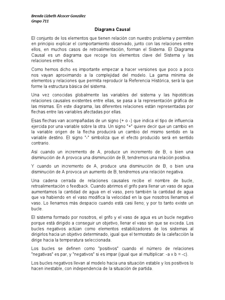 Diagrama Causal | PDF | Realimentación | Precios