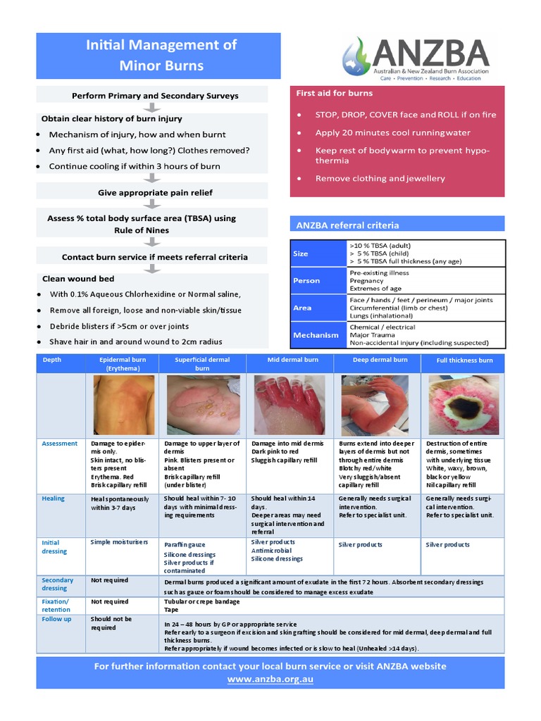 ANZBA-Minor-Burn- | PDF | Burn | Clinical Medicine