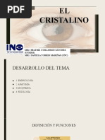 Tecnica Faco+lio+vitrectomia+retinopexia | PDF | Catarata | Oftalmología