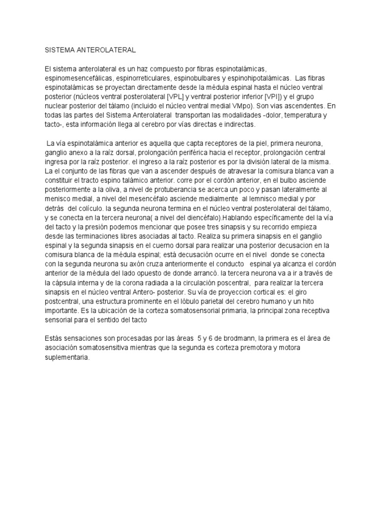 Sistema Anterolateral | PDF | Anatomía humana | Neuroanatomía