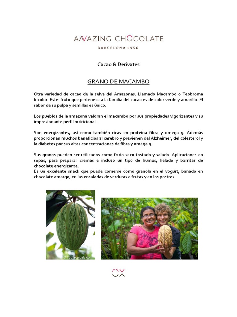 INFO Grano de Macambo | PDF