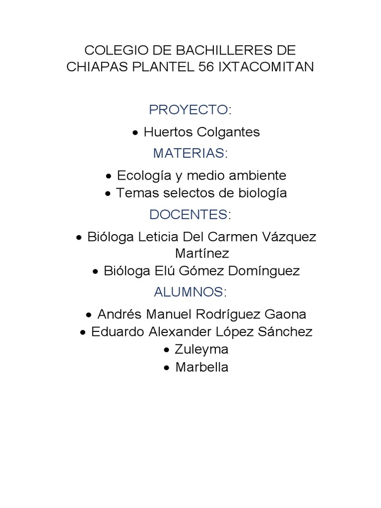Ejemplo de Un Proyecto | PDF