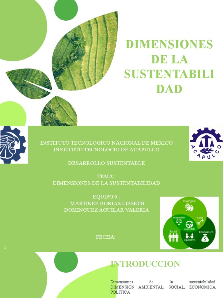 Solanio SlidesCarnival | PDF