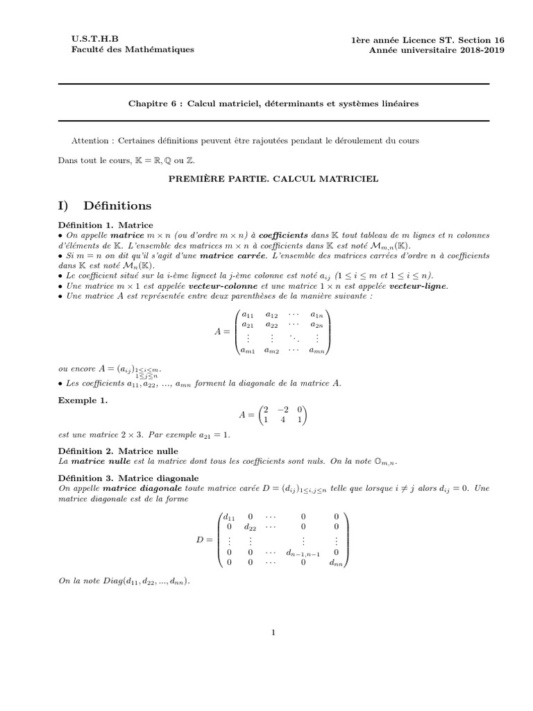 Chapitre 6 - Calcul Matriciel Déterminants Et Systèmes | PDF | Matrice (Mathématiques) | Déterminant