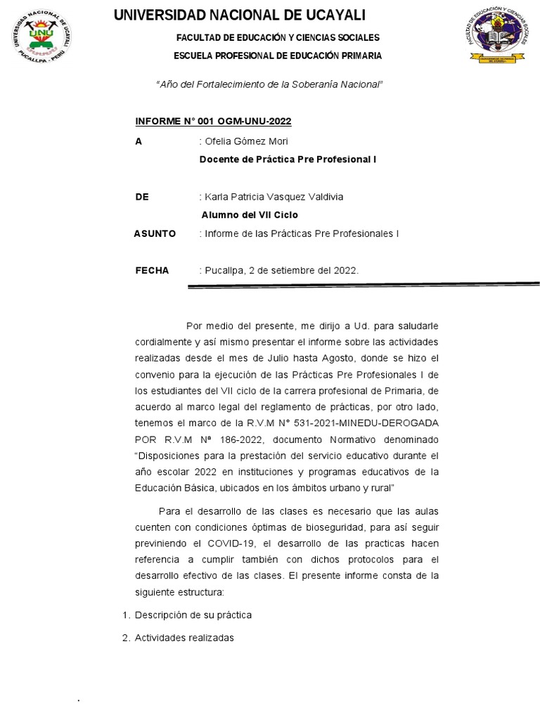 INFORME de PRACTICA PROFESIONAL I KARLA VASQUEZ | PDF | Evaluación | Maestros