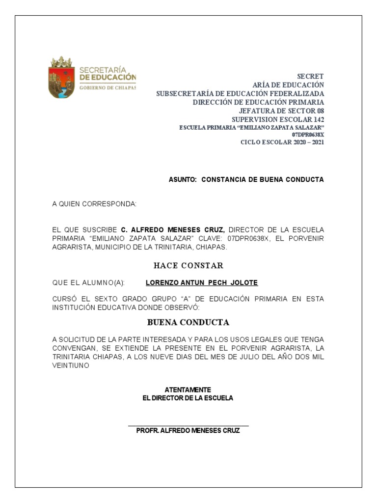 Constancia de Buena Conducta | PDF