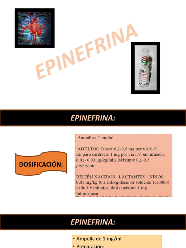 Epinefrina | PDF