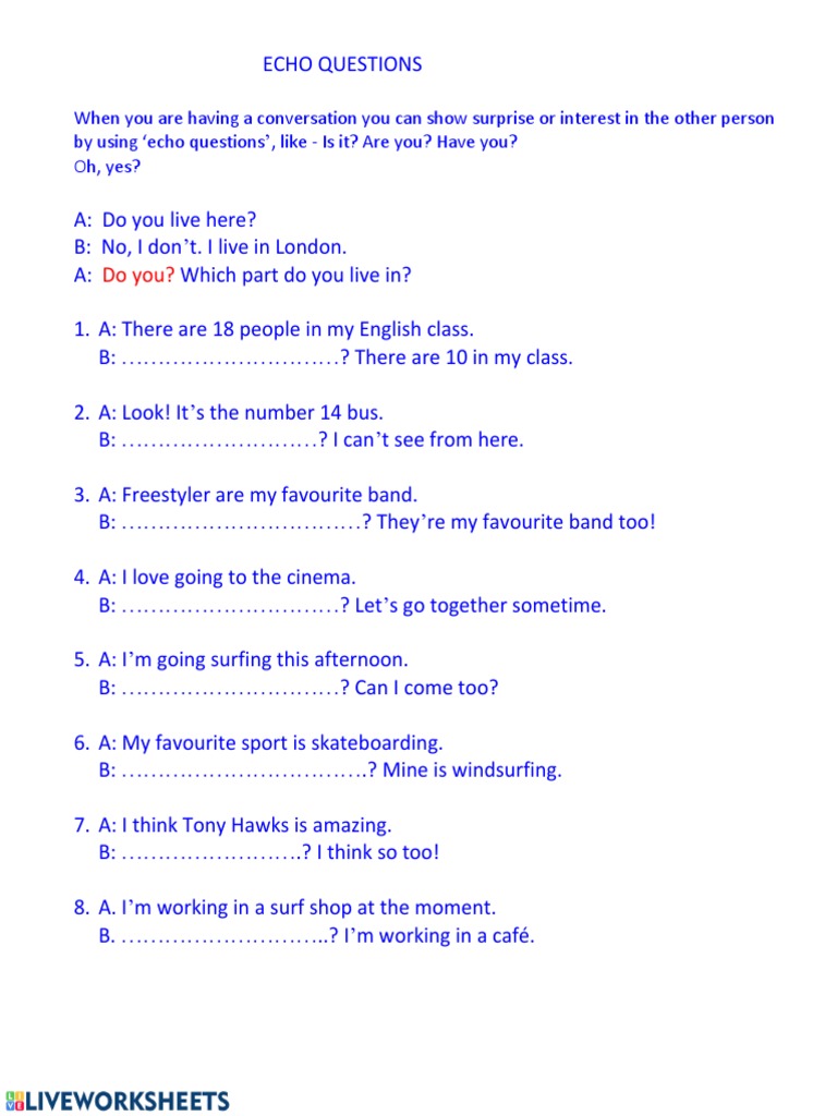 Echo Questions | PDF