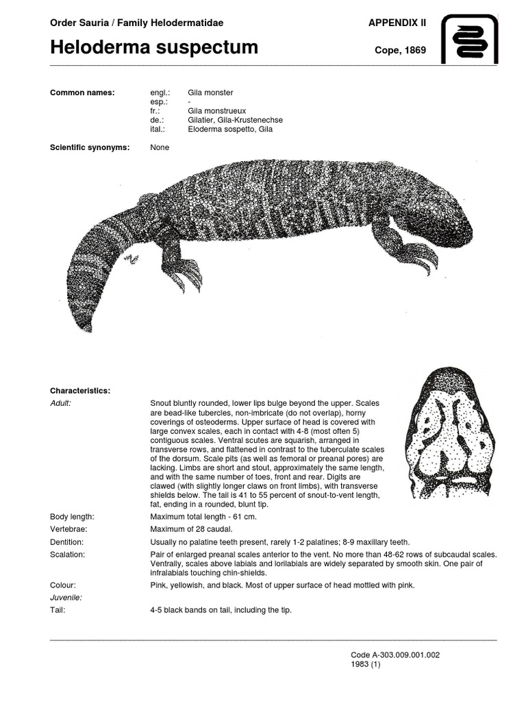 Fichas de Helodermas | PDF | Anatomical Terms Of Location