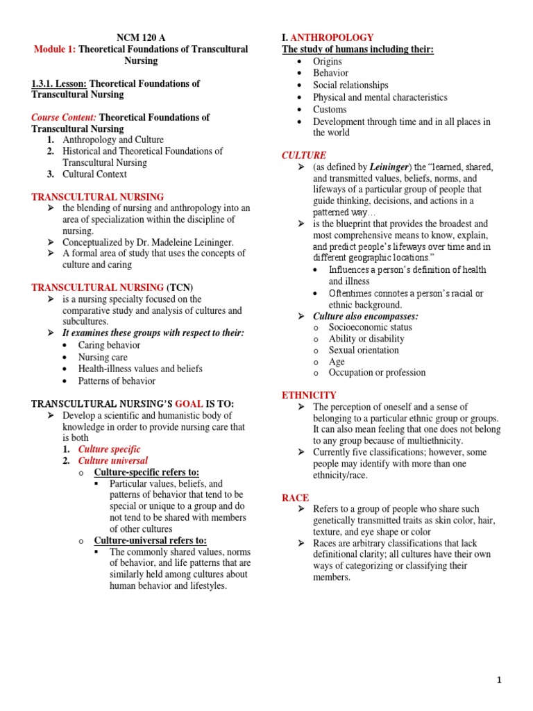 NCM 120 Transcultural Nursing MODULE 1 | Download Free PDF | Communication | Nursing