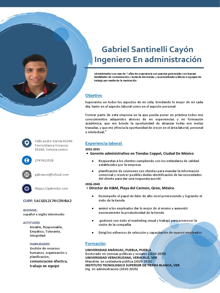 Curriculum Vitae | PDF | Economias | Business