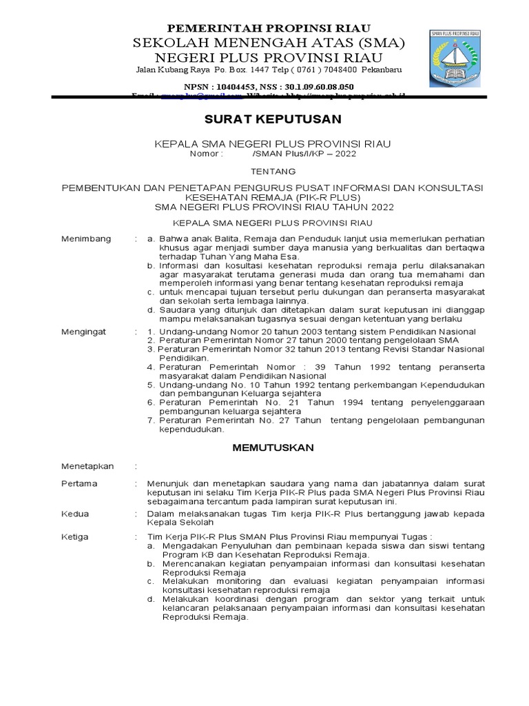 Sk. Pik-R Plus 2021 | PDF