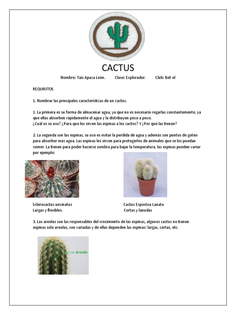 Cactus Especialidad | PDF | Botánica | Plantas