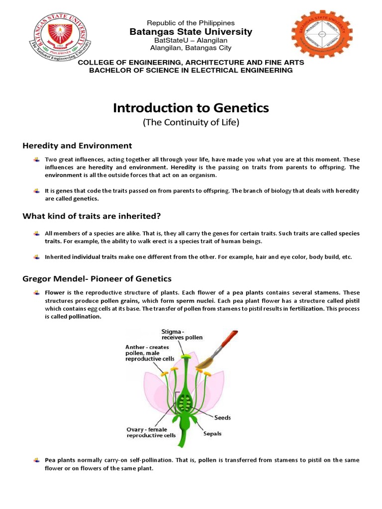 Introduction to Genetics and Mendel's Principles | PDF | Dominance ...