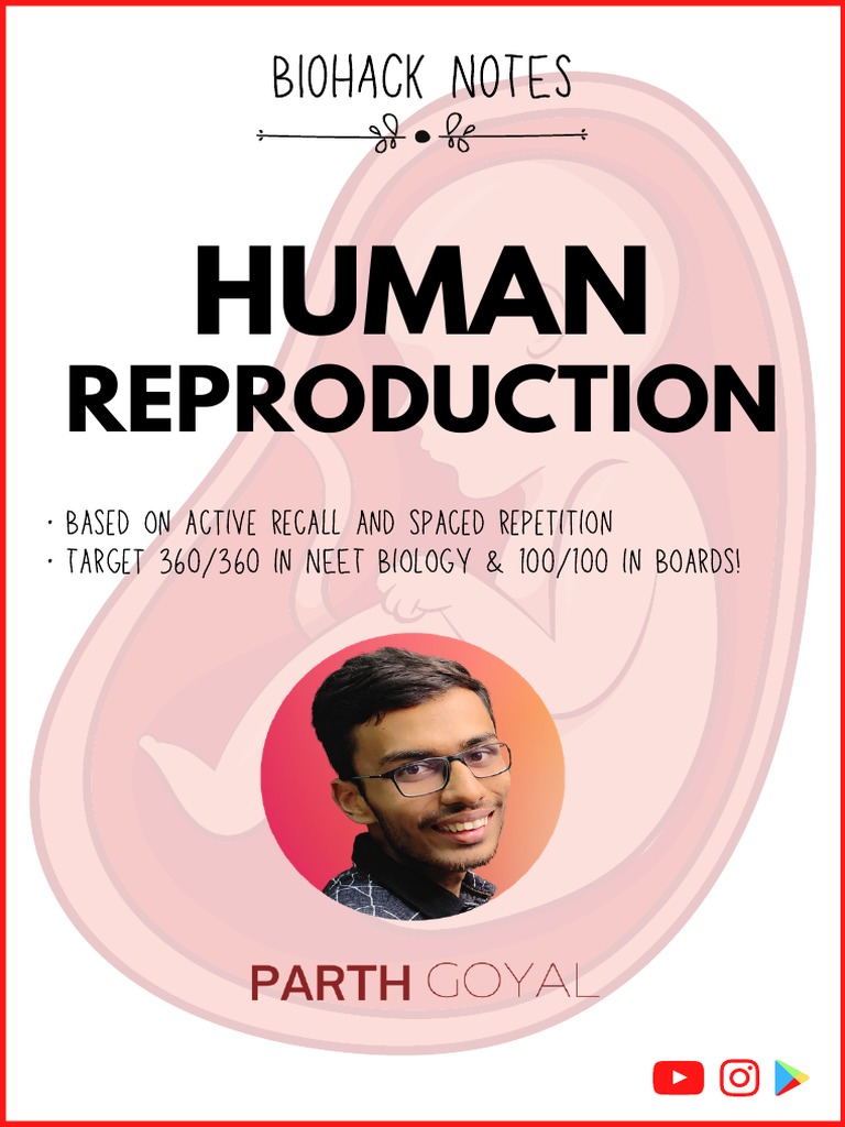 Human Reproduction Notes | PDF | Menstrual Cycle | Testicle